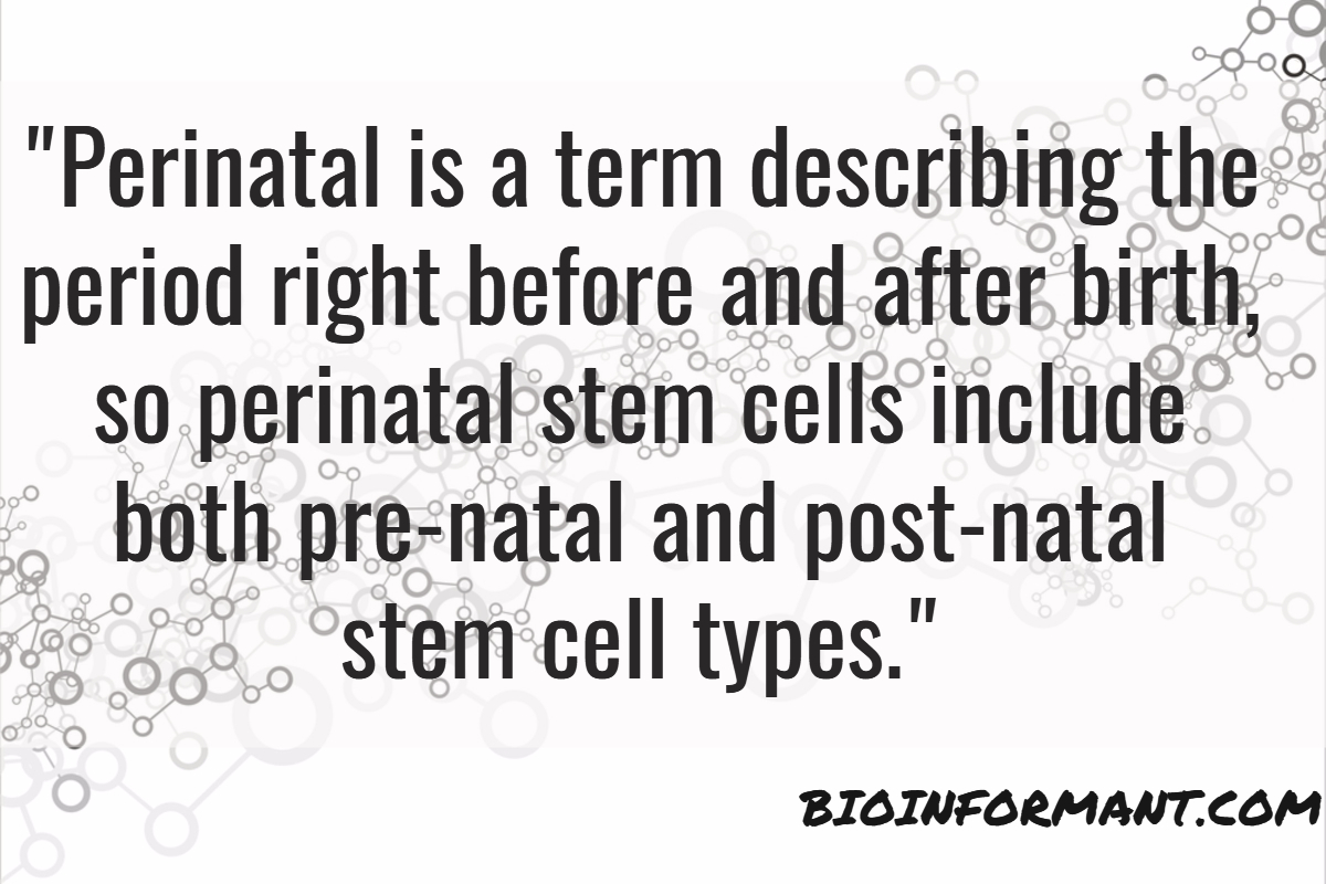 Definitive Guide to Perinatal Stem Cells