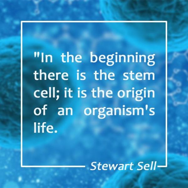 Top 8 Stem Cell Quotes of All-Time