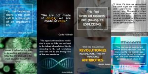 Top 8 Stem Cell Quotes of All-Time