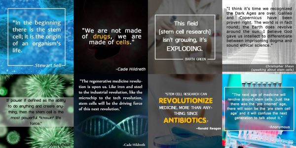 Top 8 Stem Cell Quotes of All-Time