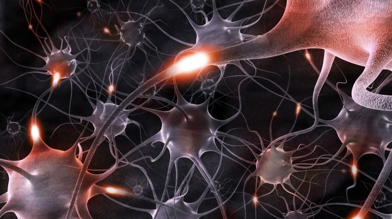 What's the Difference Between Neural and Neuronal Stem Cells?