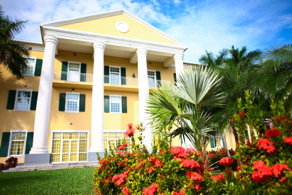 Setting the Standard in Adipose-Derived Stem Cell Applications