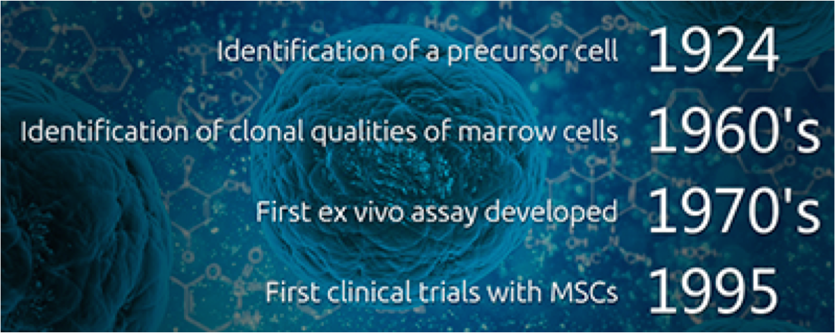 Key Dates in the Discovery of Mesenchymal Stem Cells