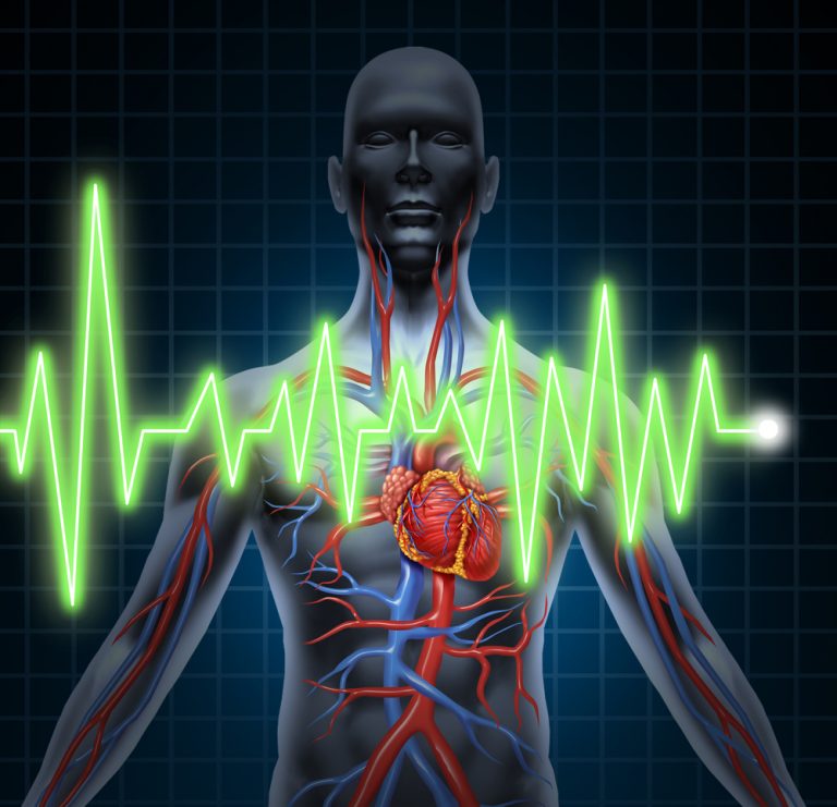 Results From Pre-Clinical Study Using CardioCell’s Stem Cells for Acute ...