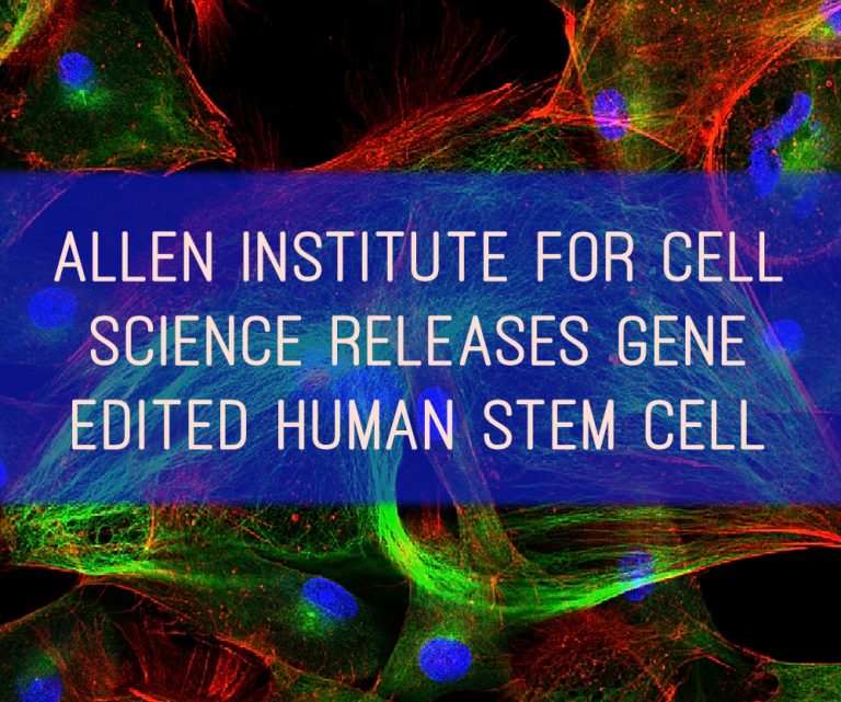 Allen Institute for Cell Science Releases Gene Edited Human Stem Cell Lines