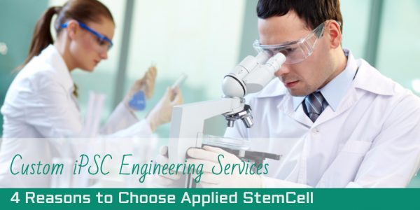 Custom iPSC Engineering Services – 4 Reasons to Choose Applied StemCell