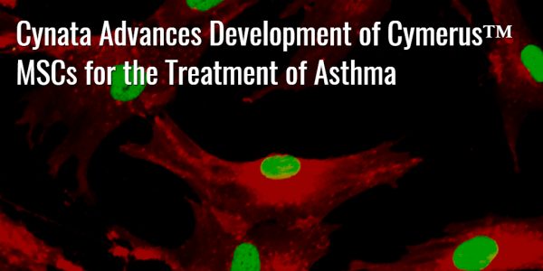 Cynata Advances Development of Cymerus™ MSCs for the Treatment of Asthma