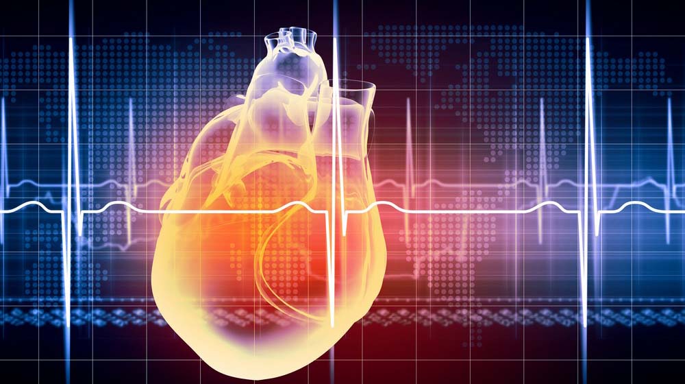 Cardiac Stem Cell Therapies: The Next Revolution in Heart Failure Treatment