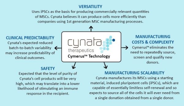 Cynata Introduces Critical Innovation into MSC Manufacturing | BioInformant
