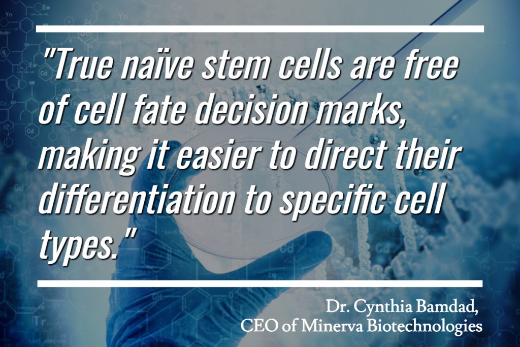 Minerva Biotechnologies, Interview with CEO Dr. Cynthia Bamdad