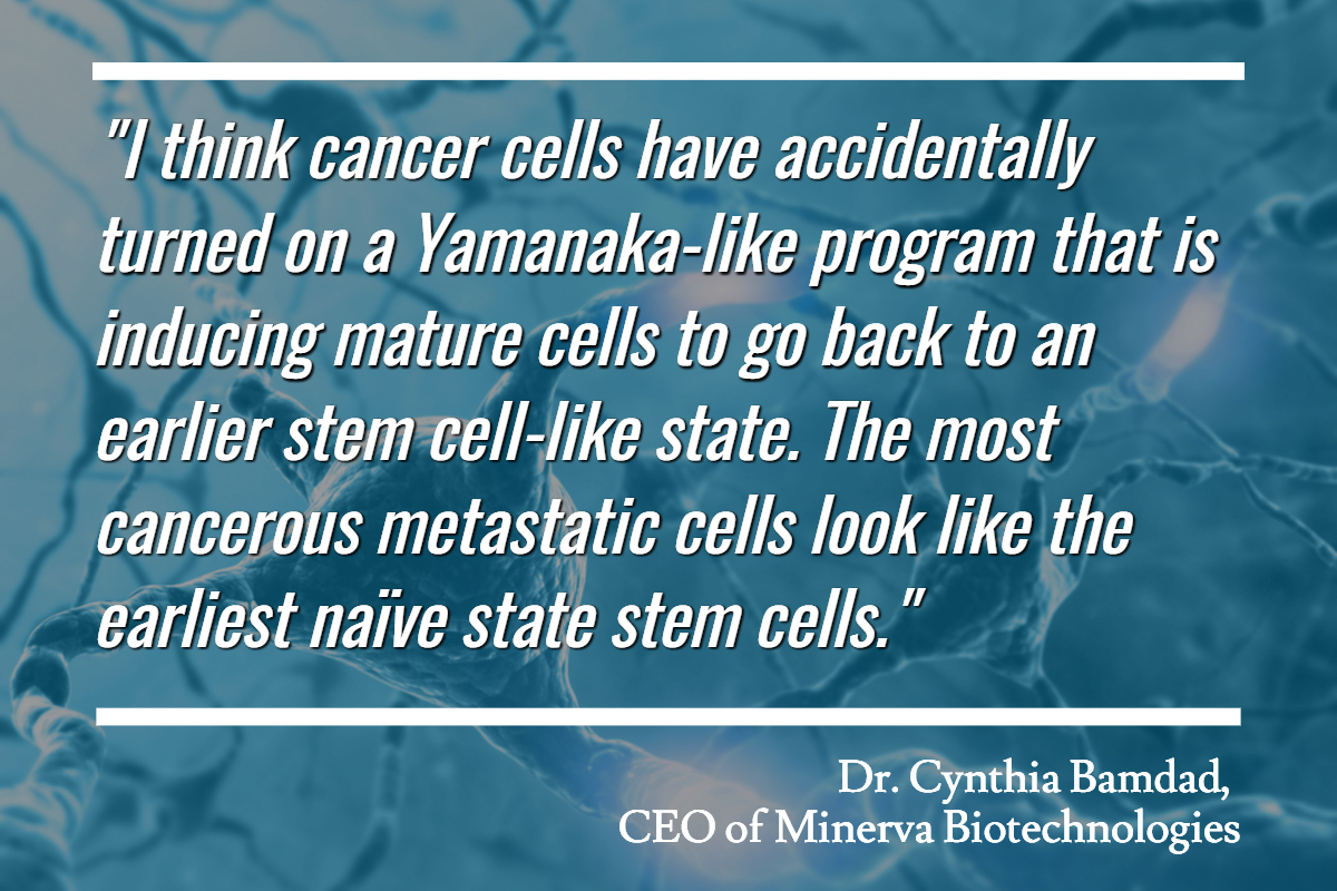 Minerva Biotechnologies, Interview with CEO Dr. Cynthia Bamdad