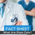 Stem Cell Fact Sheet - Types of Stem Cells and their Use in Medicine