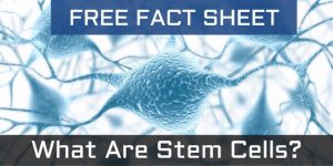 Stem Cells Definition | Understanding Stem Cells | BioInformant Blog