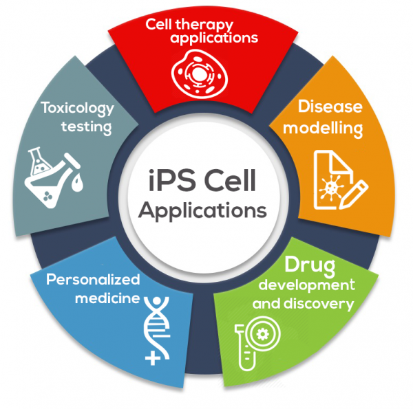 Global Induced Pluripotent Stem Cell (iPS Cell) Industry Report