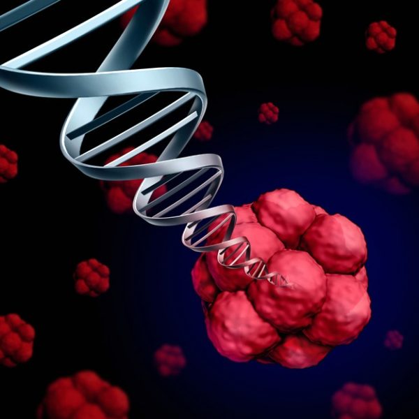 The Pros and Cons of Stem Cell Research in 2026 | BioInformant