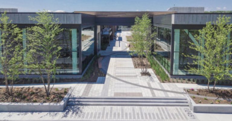 ElevateBio Formed to Create Portfolio of Cell & Gene Therapy Companies