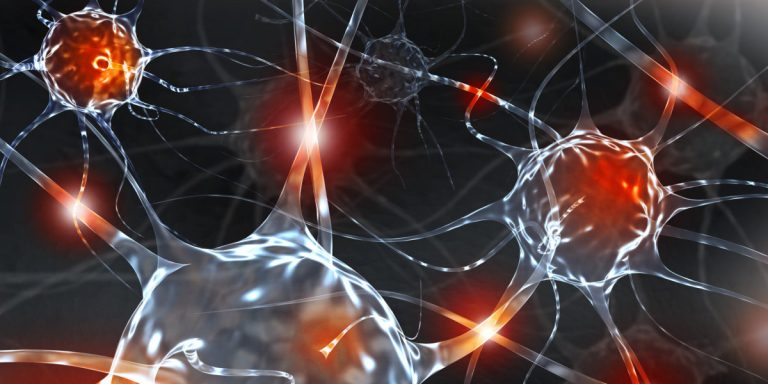 What's the Difference Between Neural and Neuronal Stem Cells?