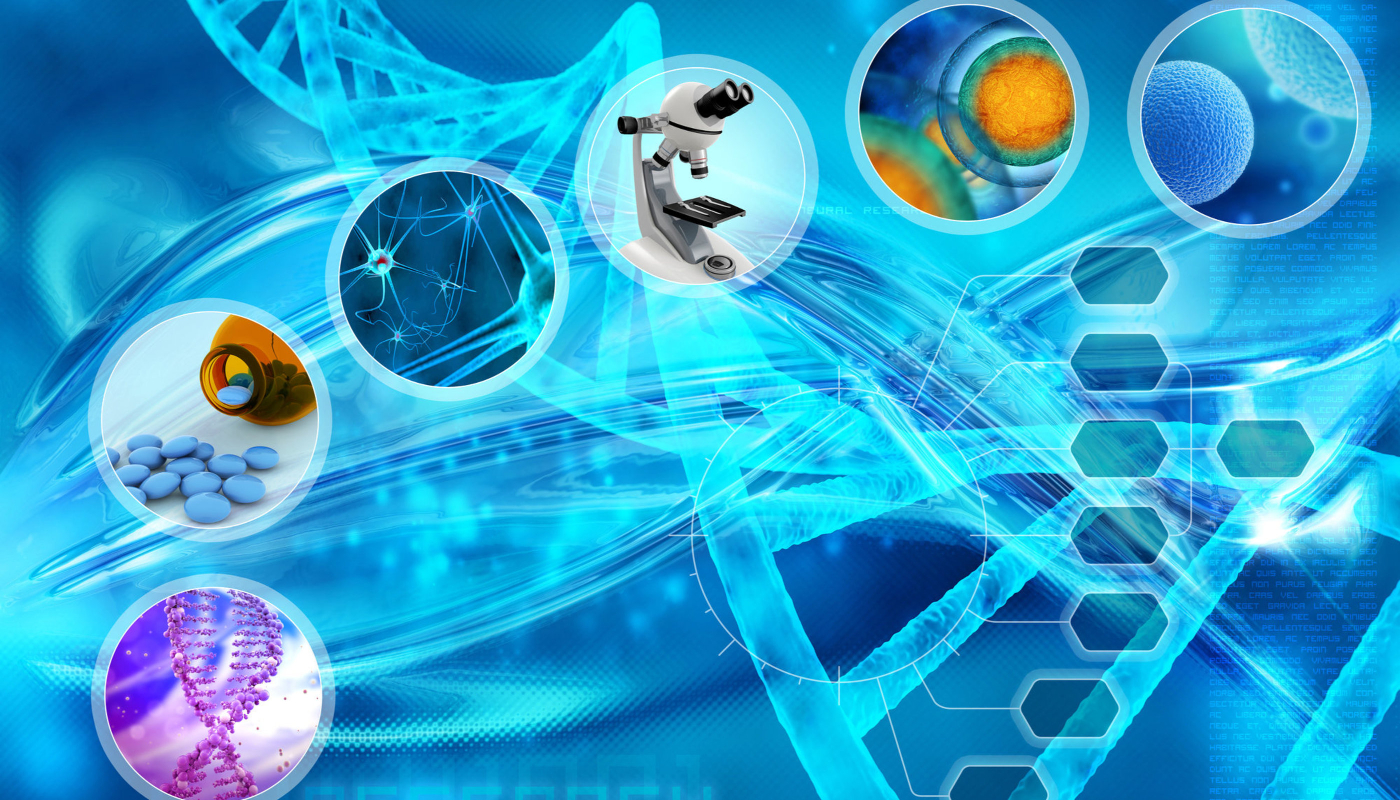 Who Discovered Stem Cells? The Answers Revealed