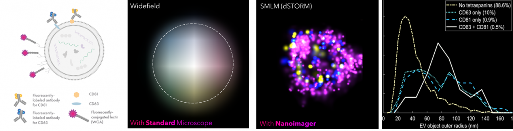Taking EV characterization to the next level with ONI’s Nanoimager
