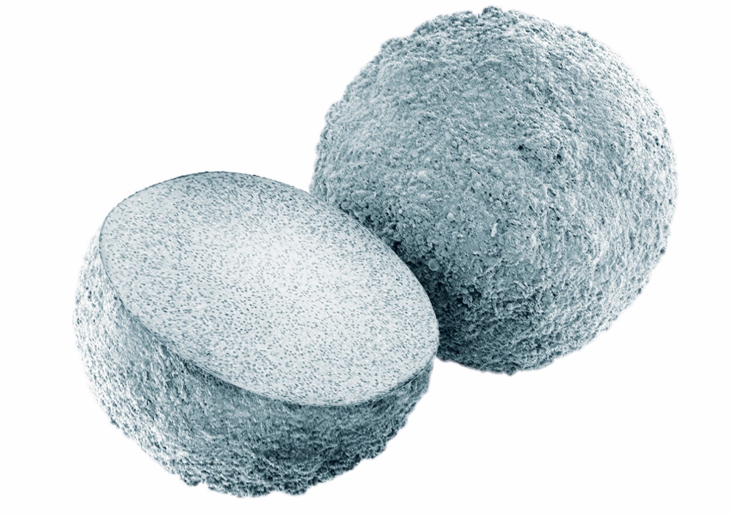 New CO.DON Plant for EU-approved Cartilage Regeneration Treatment