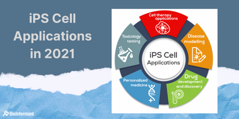 Induced Pluripotent Stem Cell (iPS Cell) Applications in 2021 ...