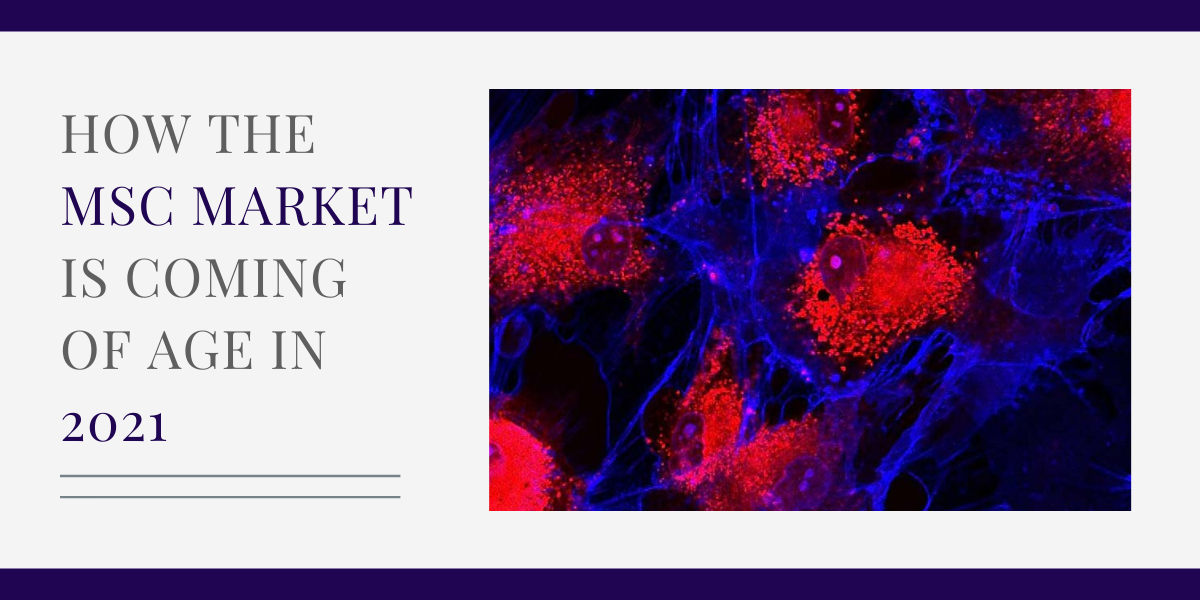 How the MSC Market is Coming of Age in 2021 | BioInformant