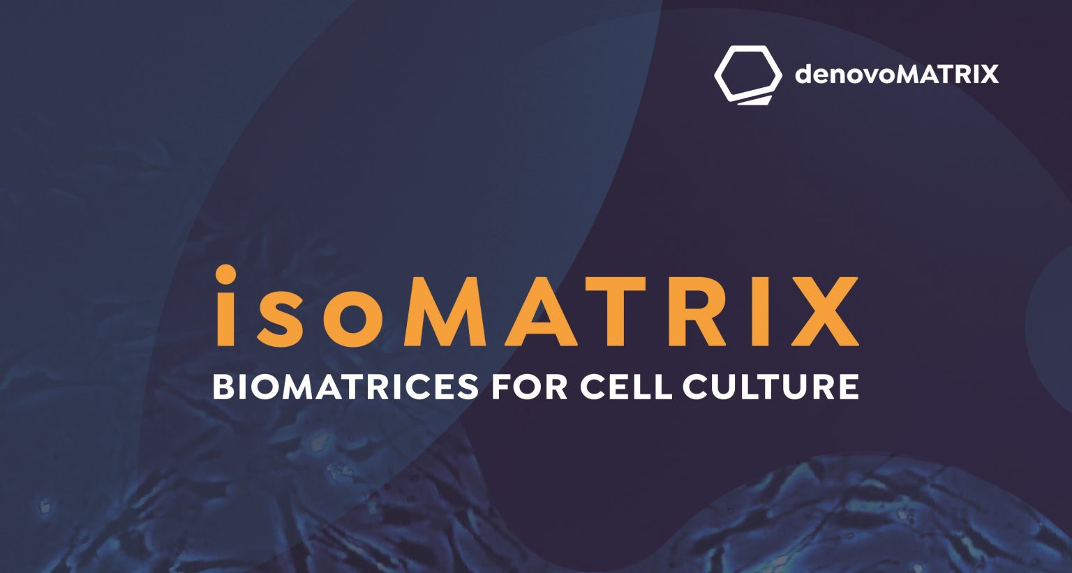 denovoMATRIX releases isoMATRIX: First high-yield MSC isolation technology