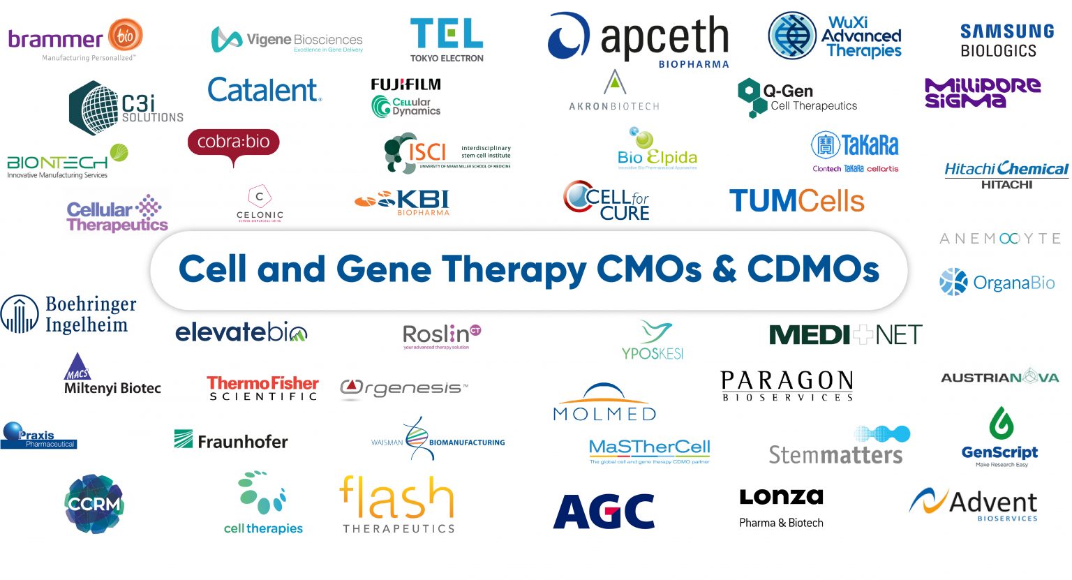 Cell and Gene Therapy CDMOs: A Guide to Cell and Gene Therapy Contract ...