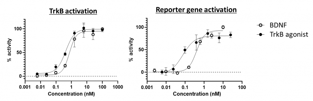 PeptiGrowth Inc. is launching a novel synthetic TrkB agonist peptide ...