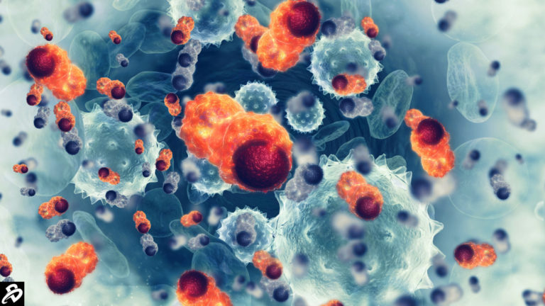 Leveraging Exosomes as Biomarkers for Cancer and Beyond