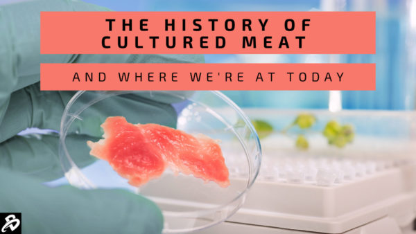 The History of Cultured Meat and Where We're at Today | BioInformant