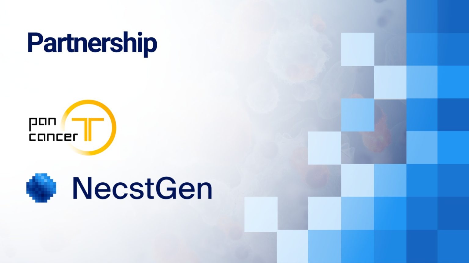 Pan Cancer T and NecstGen Collaborate to Accelerate Novel TCR-T ...