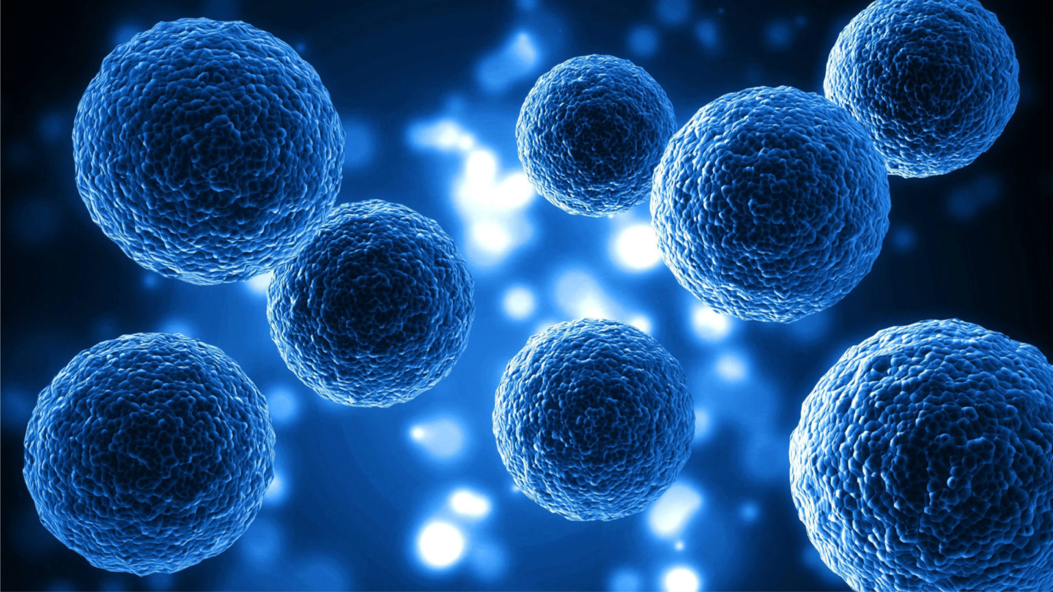 The Crowley Center for Regenerative & Biotherapeutics Names New ...