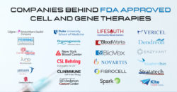 List of U.S. FDA Approved Cell and Gene Therapy Products (27 ...