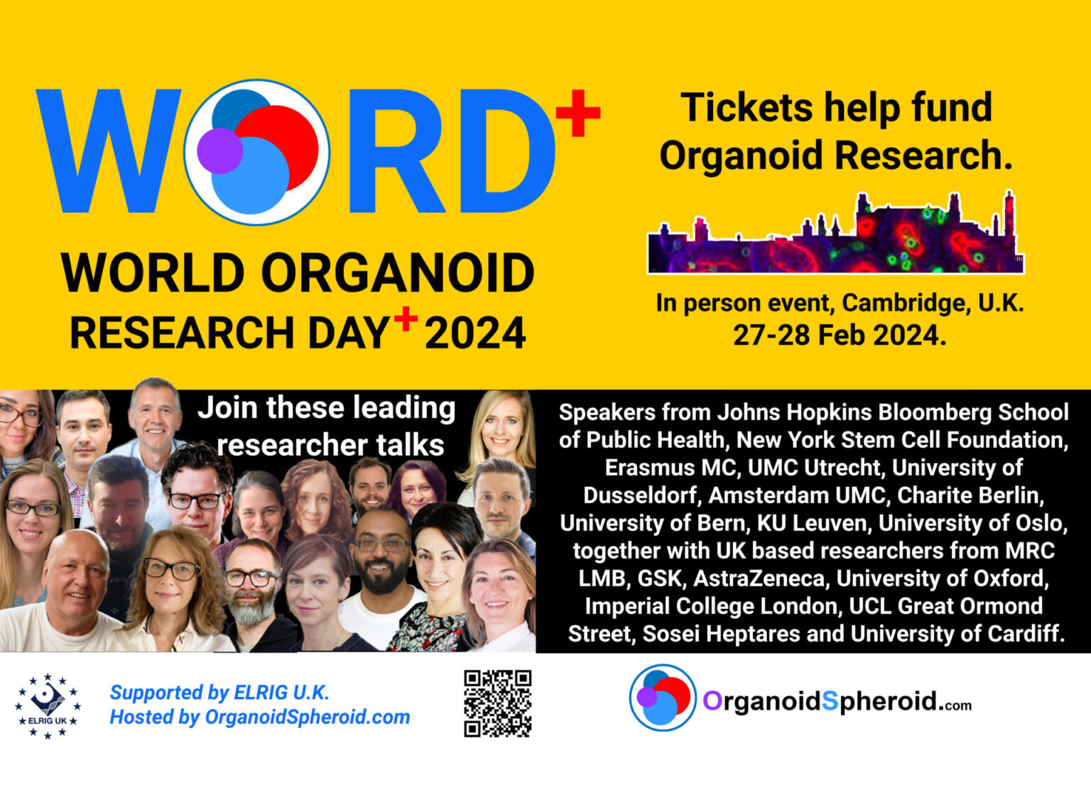 World Organoid Research Day+ 2024 | BioInformant