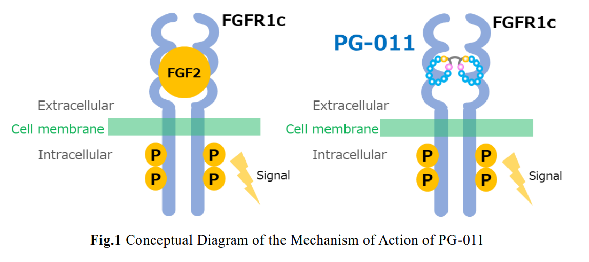 PeptiGrowth Inc. is Launching a Novel Synthetic FGF2 Alternative ...