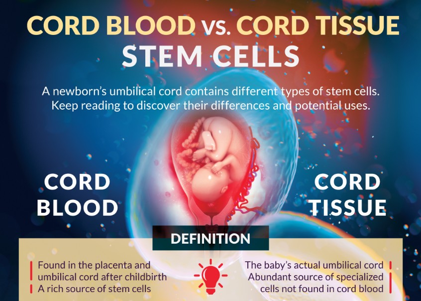 Cord Blood vs. Cord Tissue Stem Cells: What are the Differences?