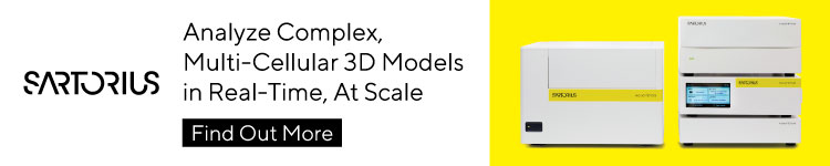 Allogeneic vs. Autologous Treatments: Definitions and Differences