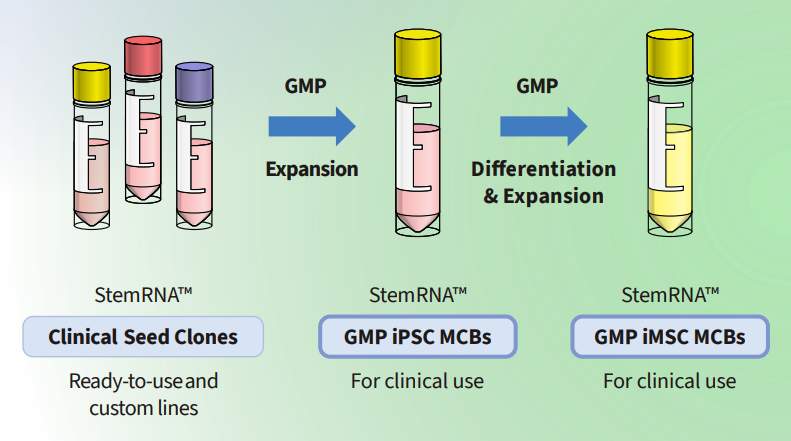 GMP Manufacturing of iPSC Master Cell Banks for Allogeneic Therapies at ...